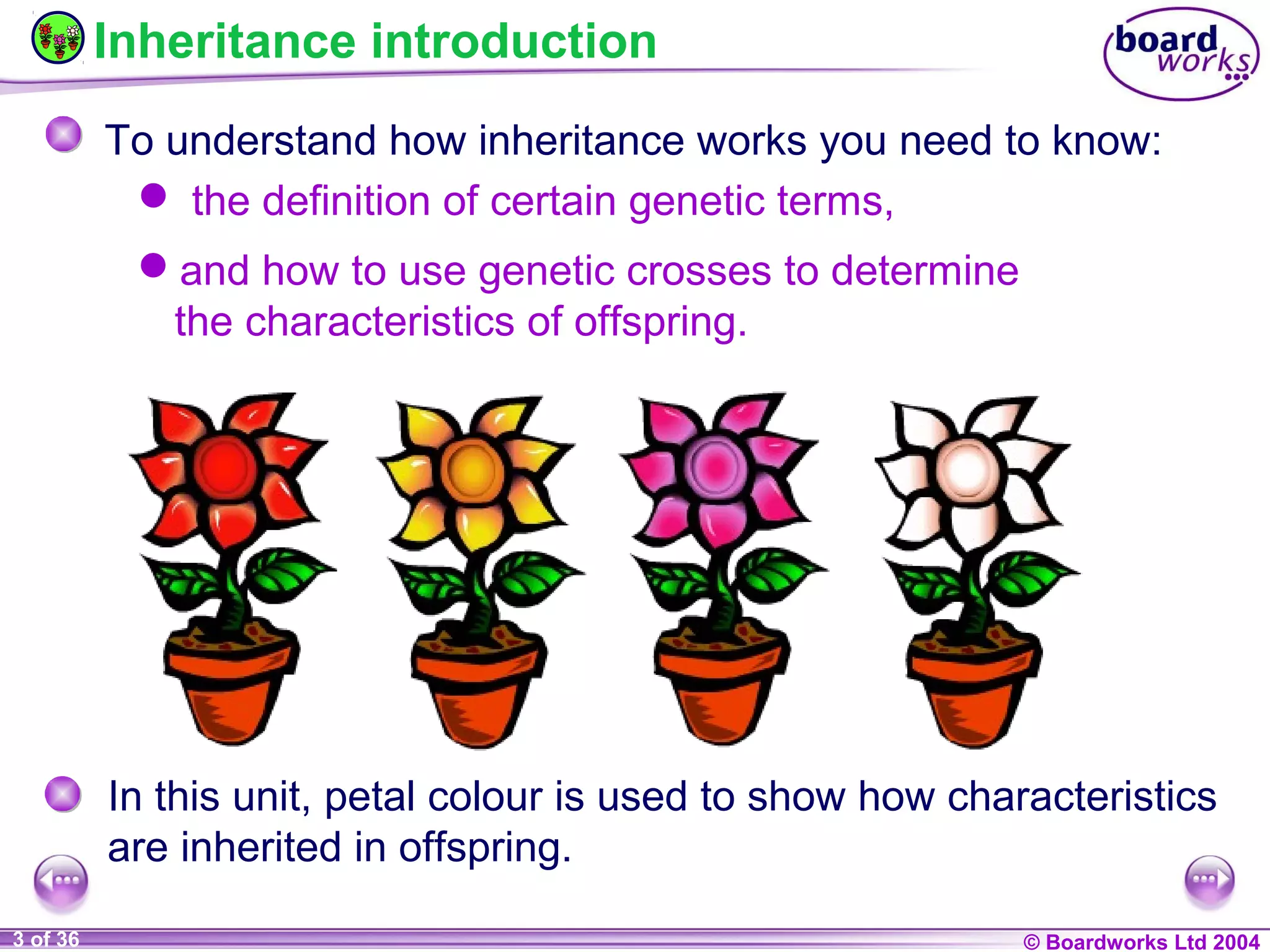 Mendel's Law and Inheritance | PPT