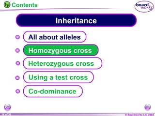 Mendel's Law and Inheritance | PPT
