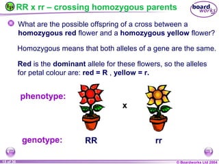 Mendel's Law and Inheritance | PPT