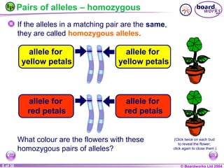 Mendel's Law and Inheritance | PPT