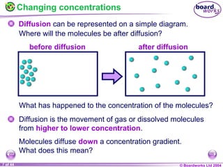 Ks4 movement in and out of cells | PPT