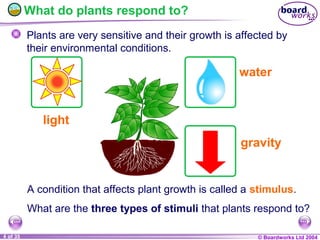 Ks4 plant responses | PPT