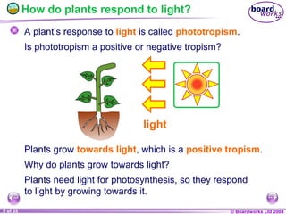 Ks4 plant responses | PPT