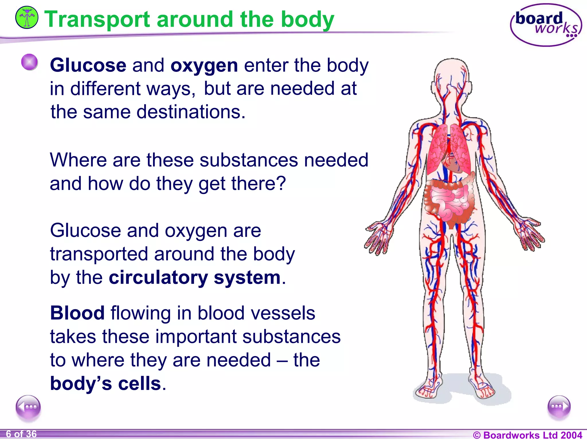 Ks4 respiration | PPT