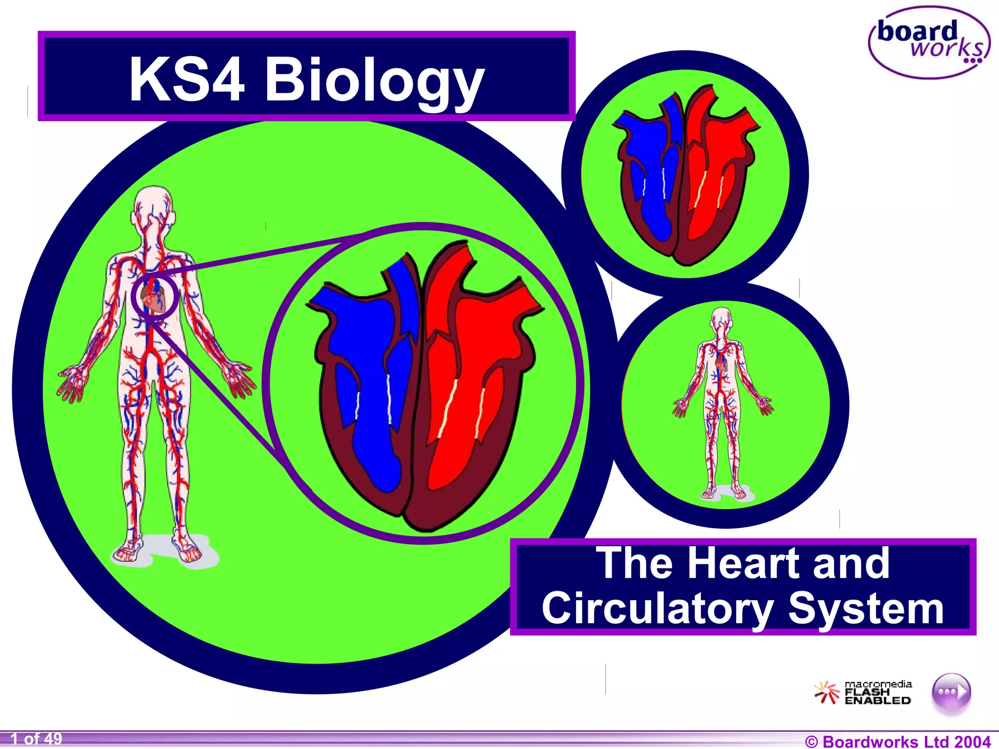 Ks4 the heart and circulatory system | PPT