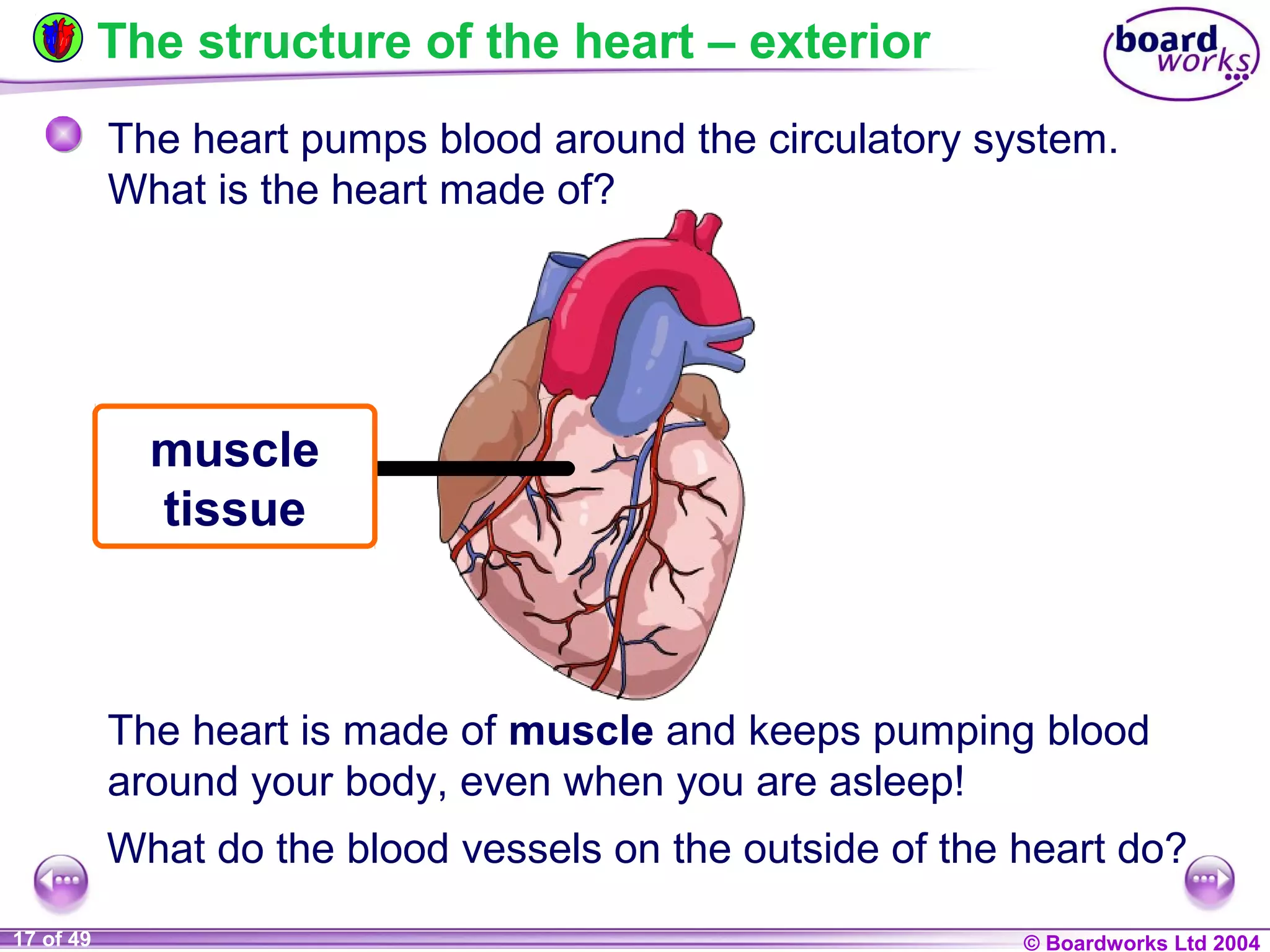 Ks4 the heart and circulatory system | PPT