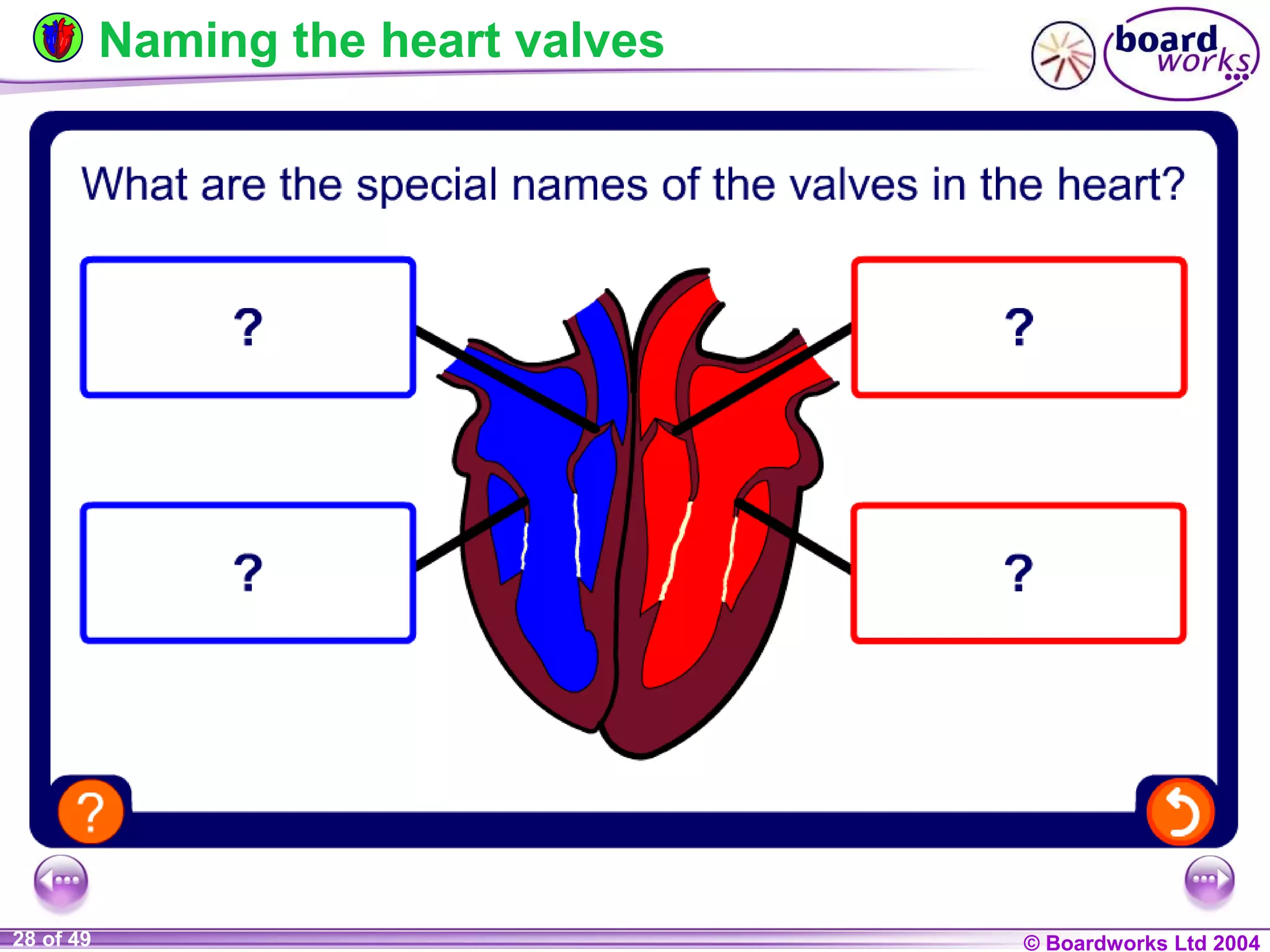 Ks4 the heart and circulatory system | PPT
