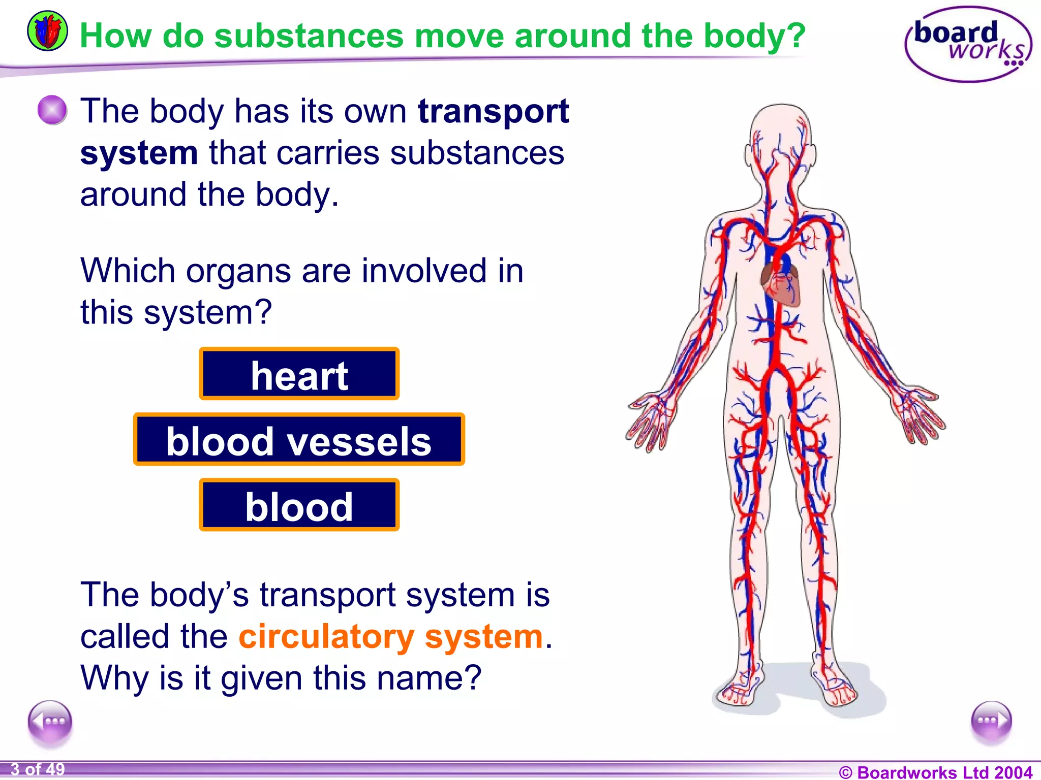 Ks4 the heart and circulatory system | PPT