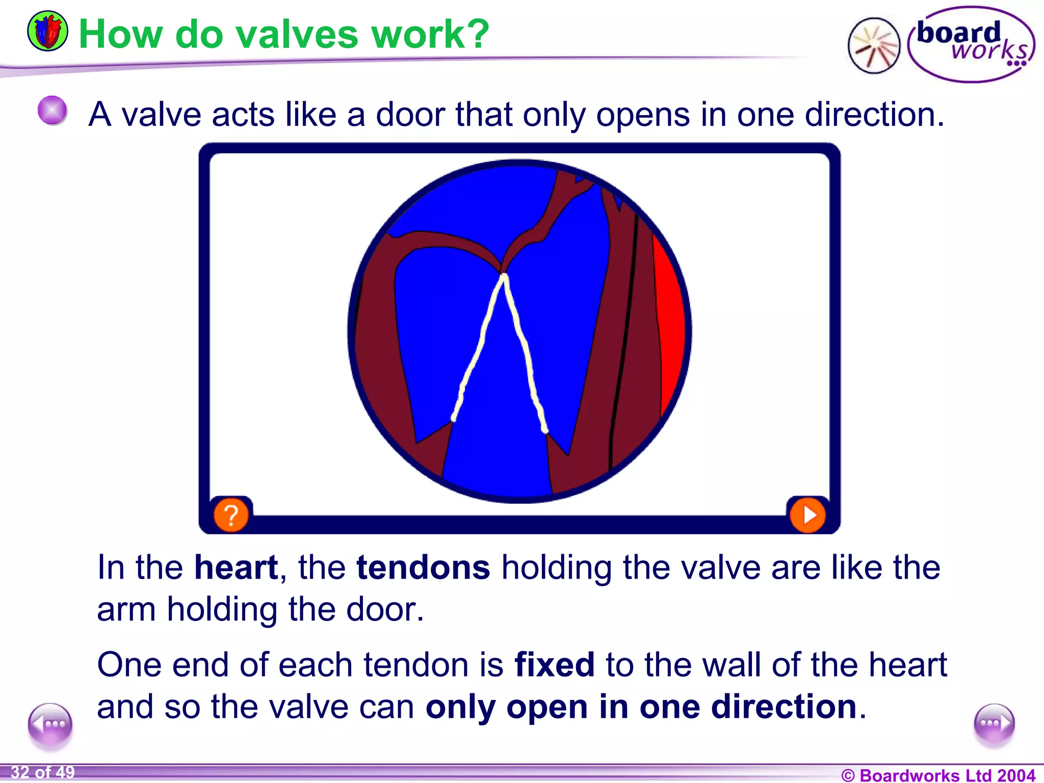 Ks4 the heart and circulatory system | PPT