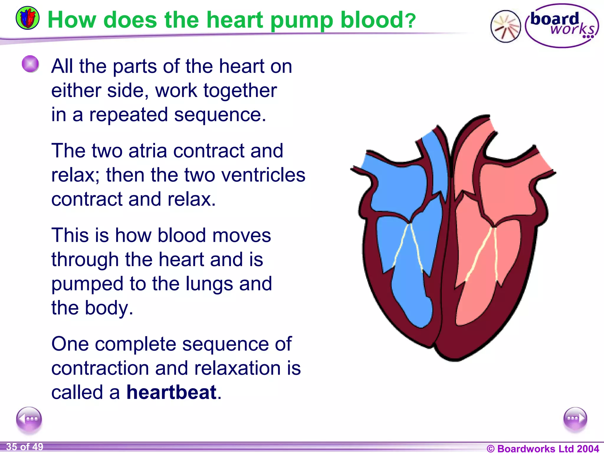 Ks4 the heart and circulatory system | PPT