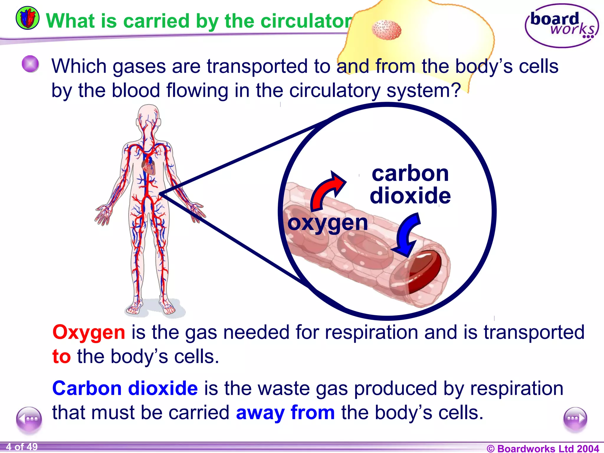 Ks4 the heart and circulatory system | PPT