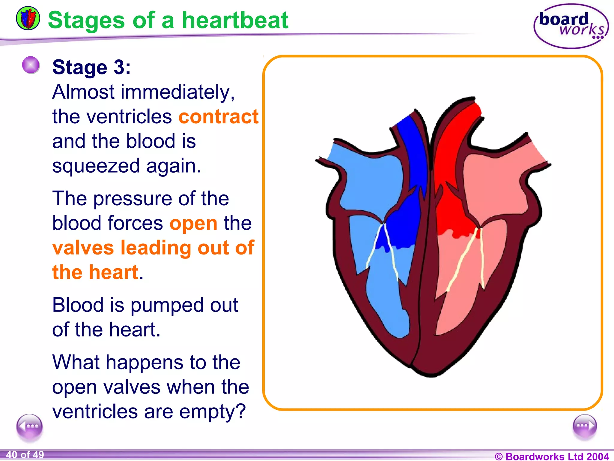 Ks4 the heart and circulatory system | PPT