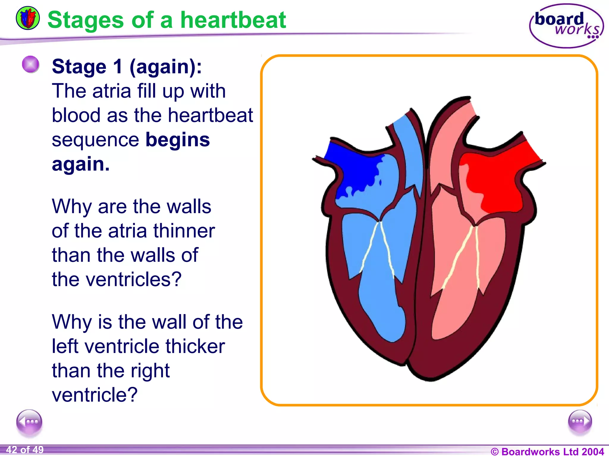 Ks4 the heart and circulatory system | PPT