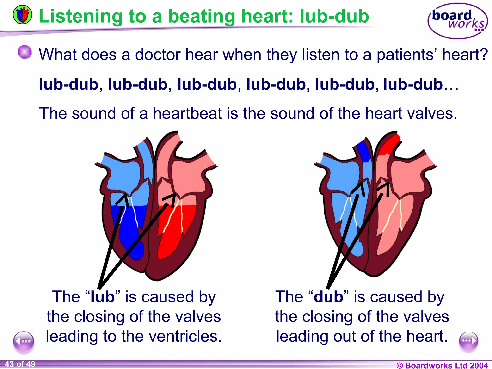 Ks4 the heart and circulatory system | PPT