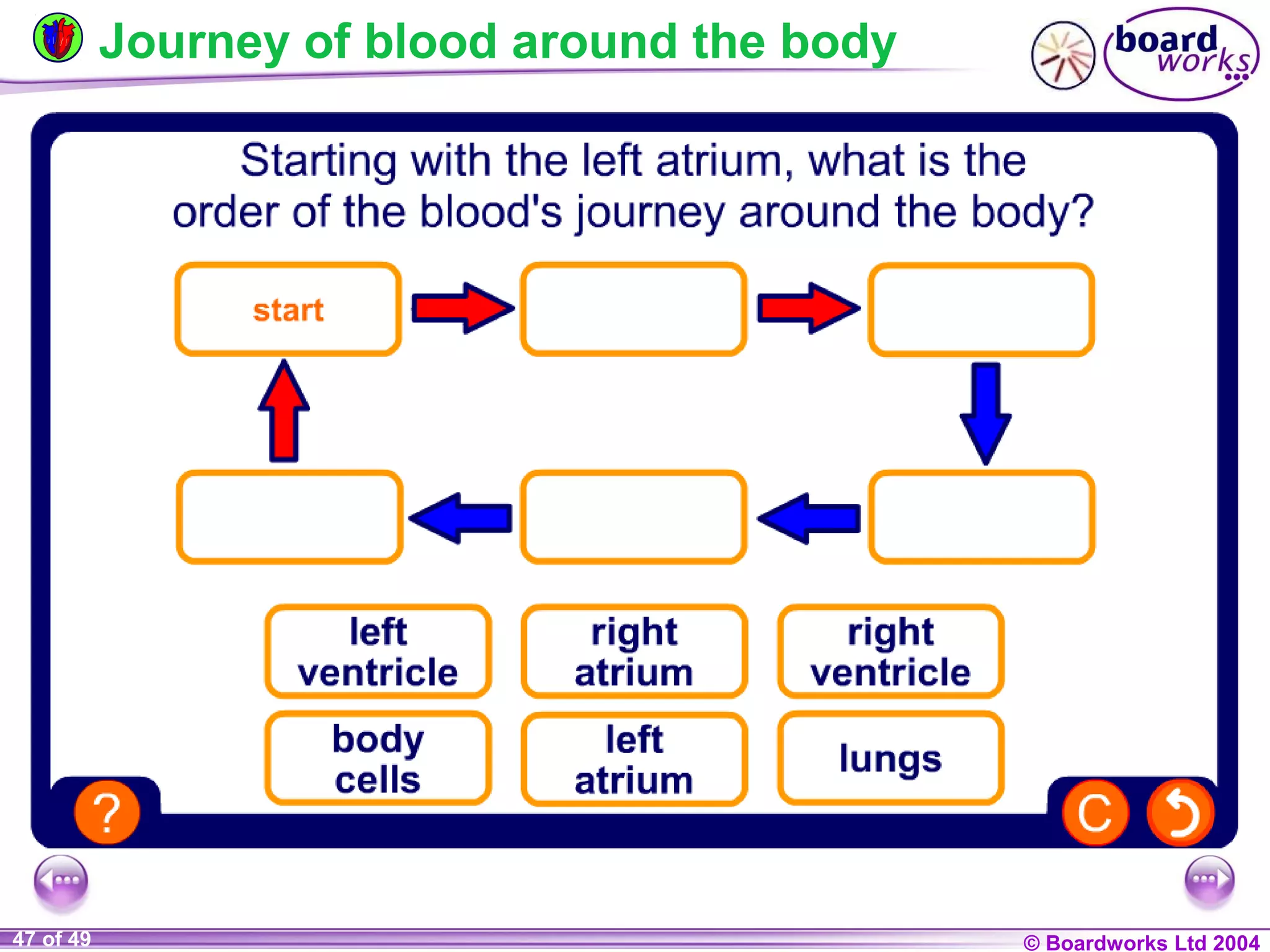Ks4 the heart and circulatory system | PPT