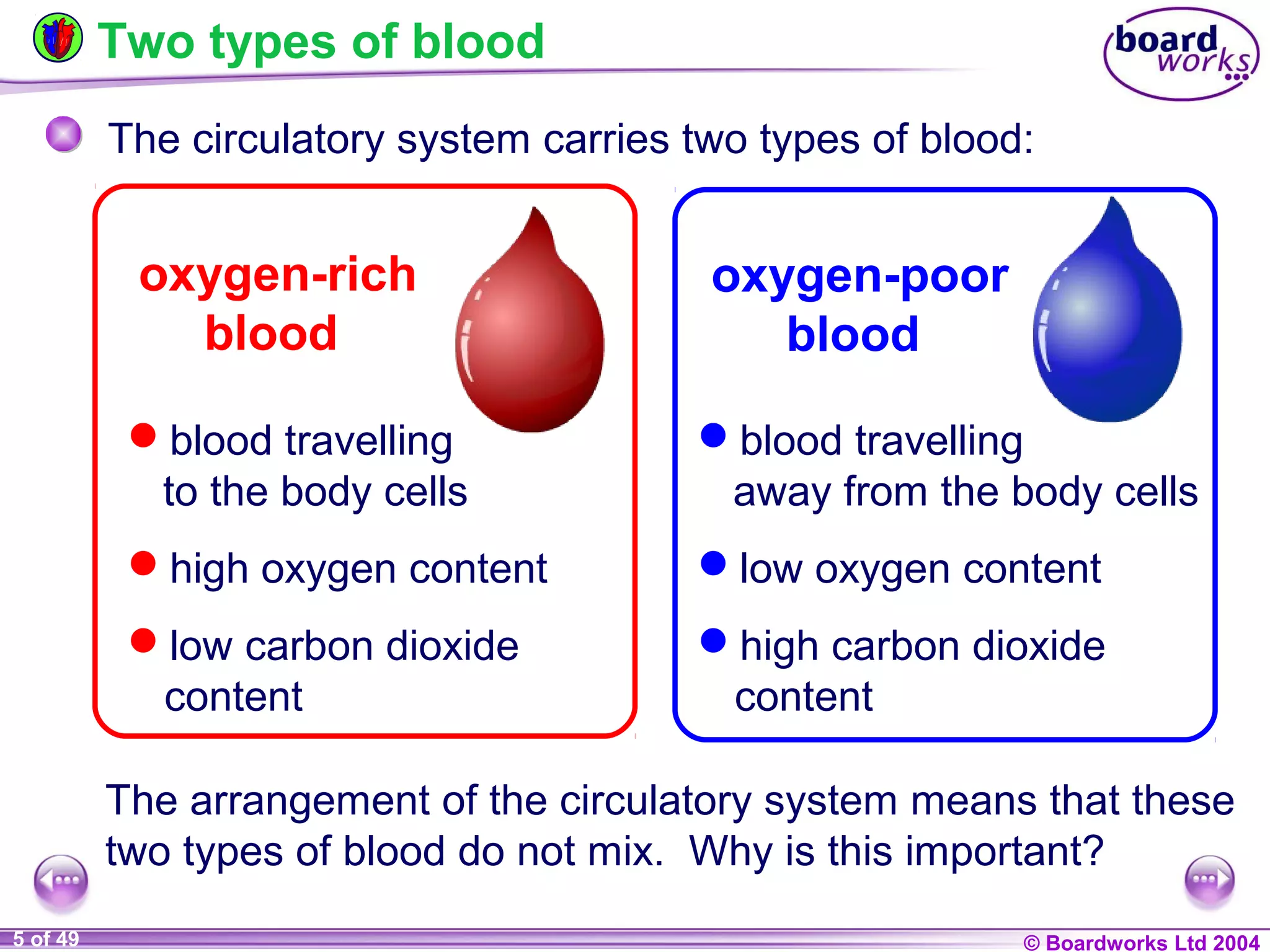 Ks4 the heart and circulatory system | PPT