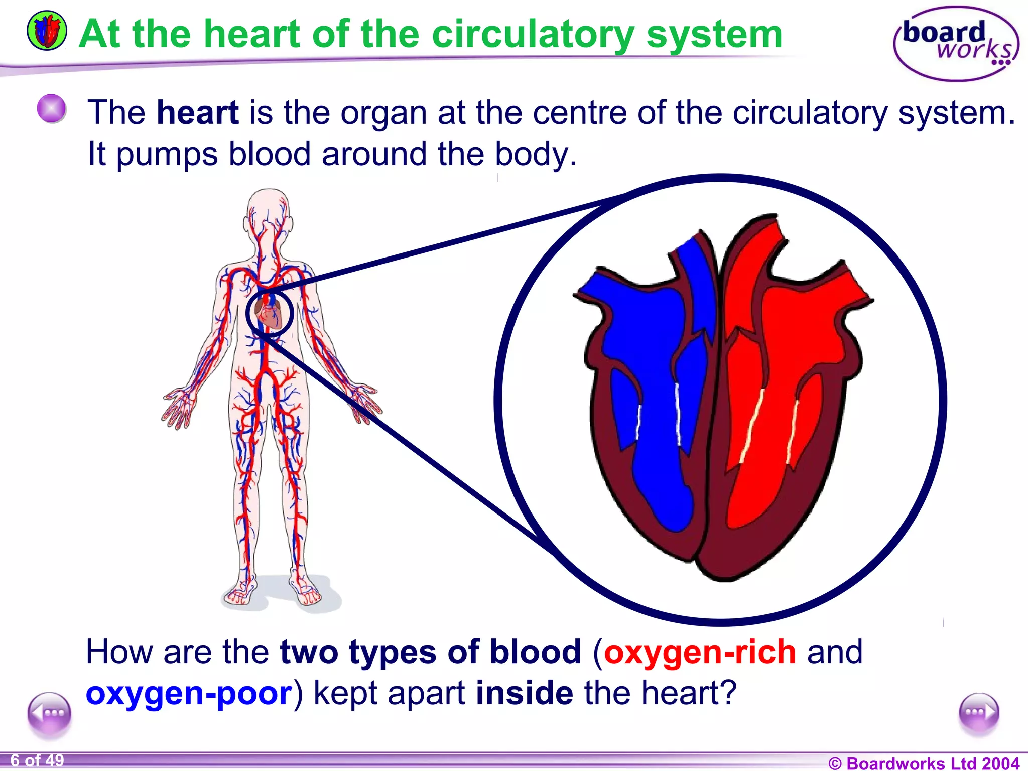 Ks4 the heart and circulatory system | PPT
