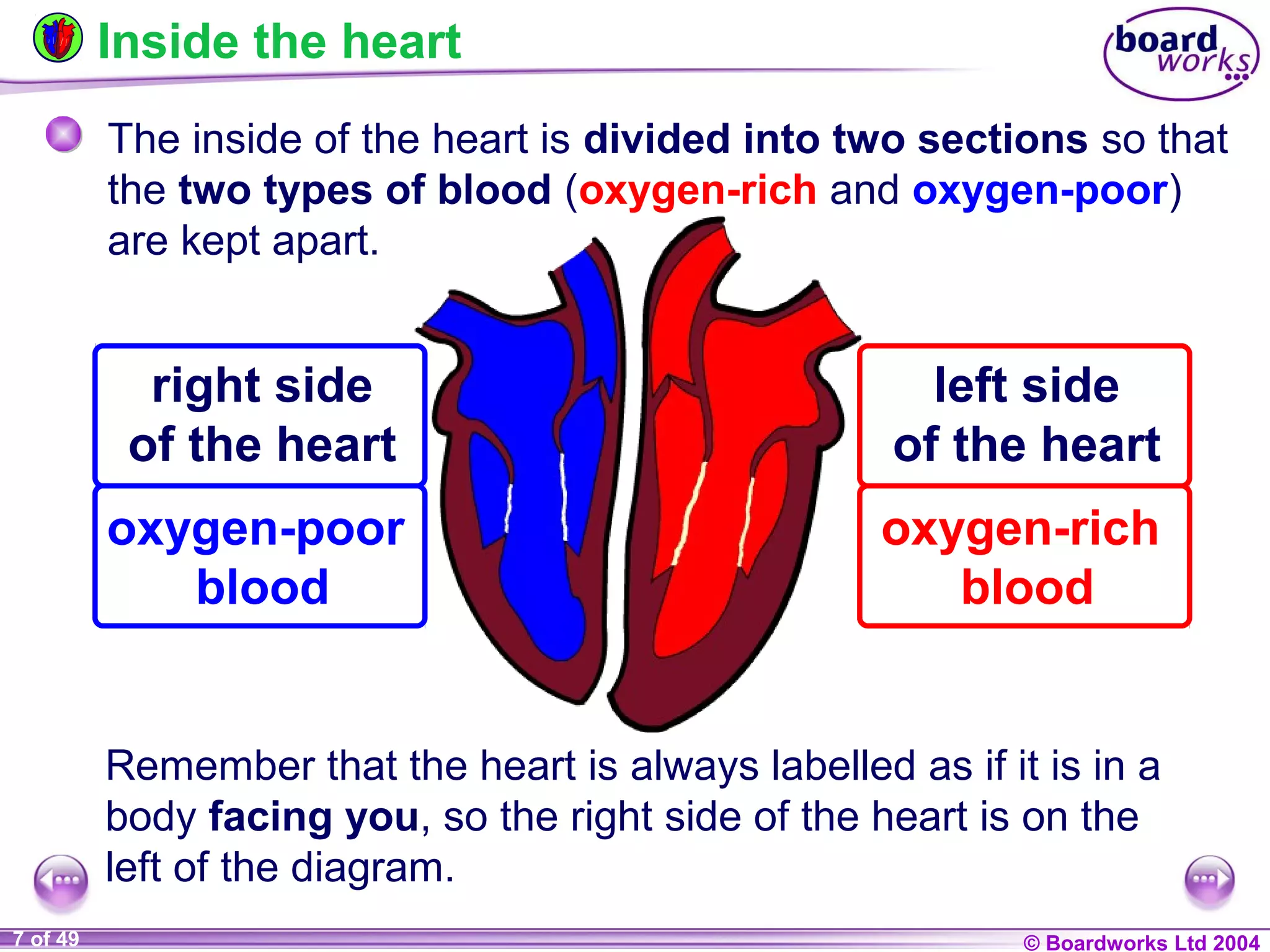 Ks4 the heart and circulatory system | PPT