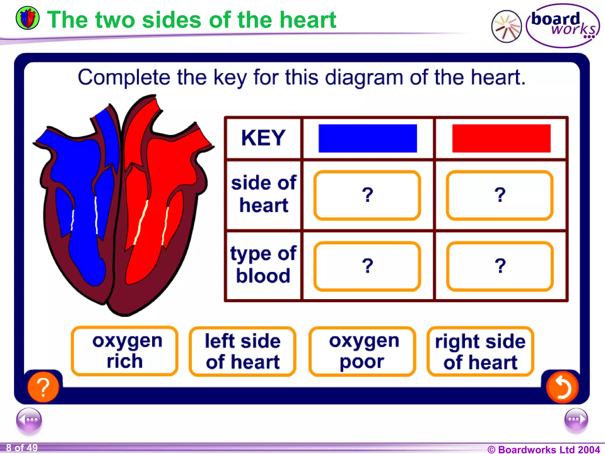Ks4 the heart and circulatory system | PPT