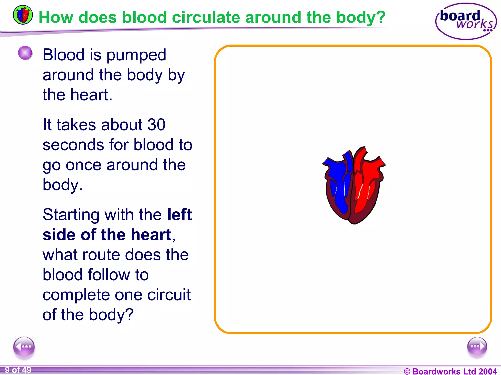 Ks4 the heart and circulatory system | PPT