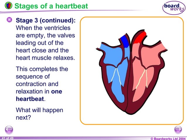 Ks4 the heart and circulatory system | PPT | Lung and Respiratory ...