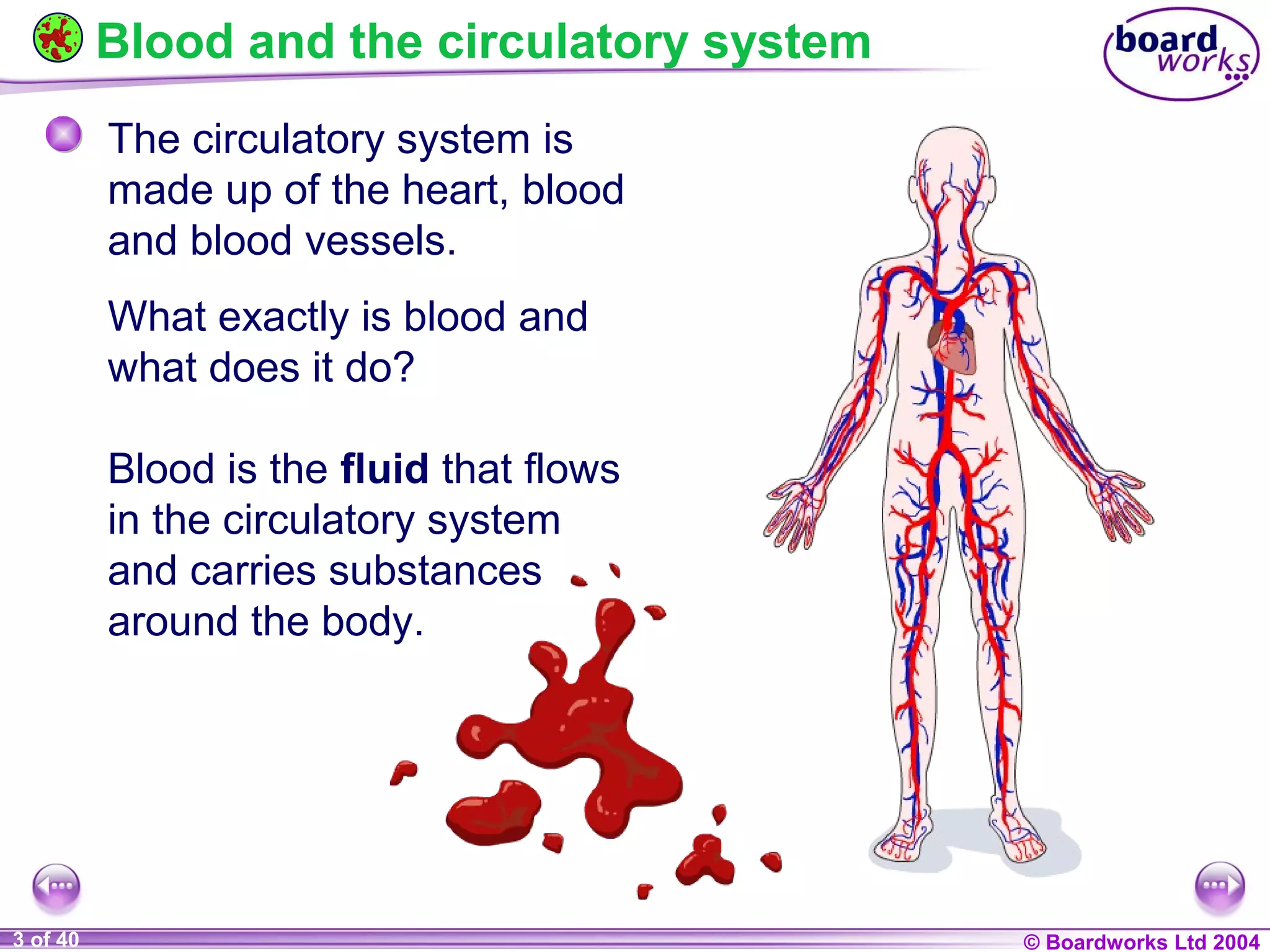 Ks4 what is blood | PPT