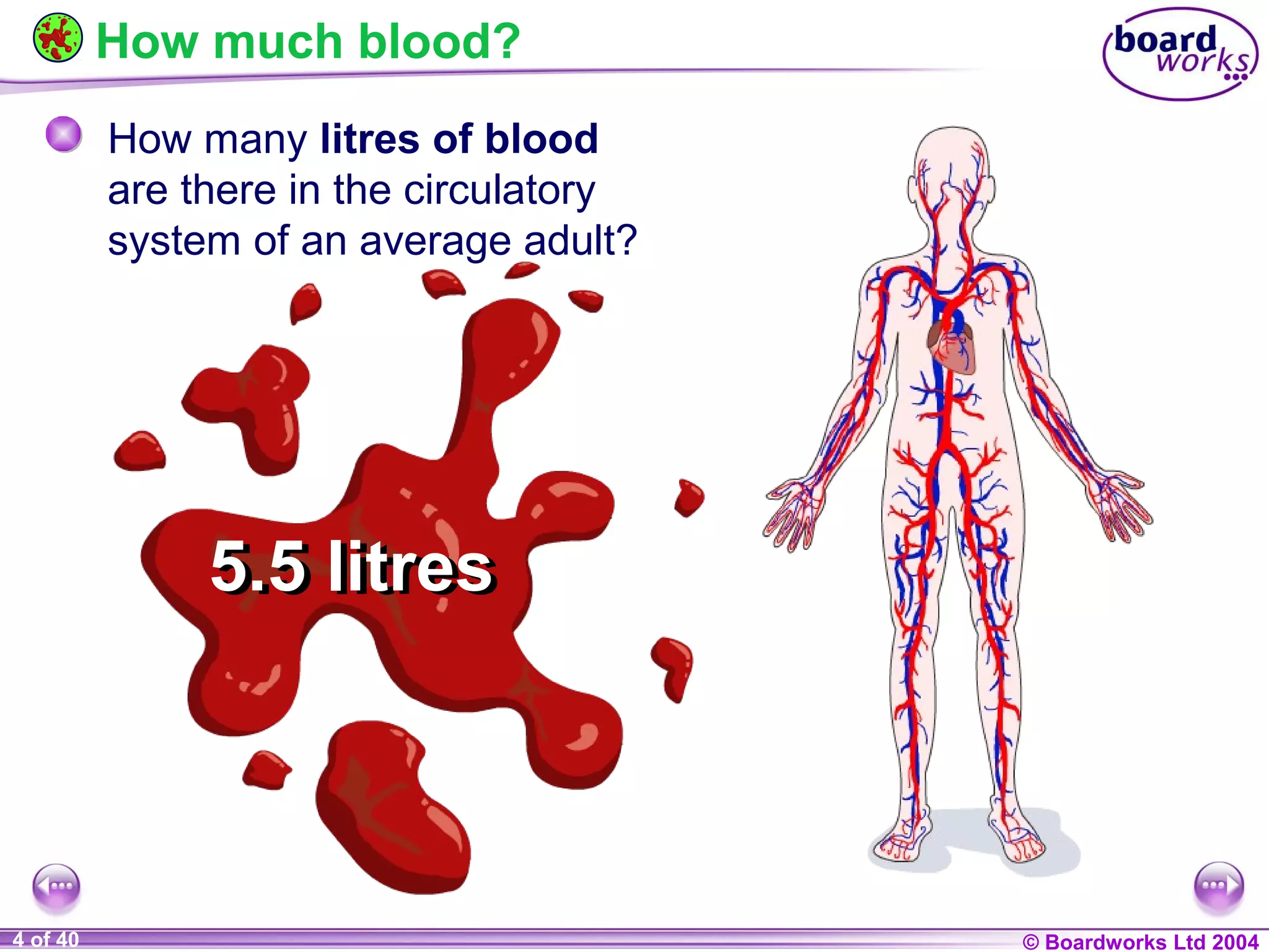 Ks4 what is blood | PPT
