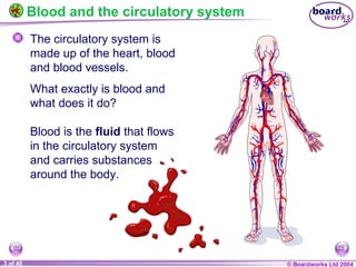 Ks4 what is blood | PPT