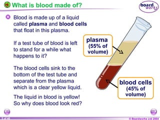 Ks4 what is blood | PPT