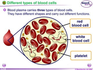 Ks4 what is blood | PPT