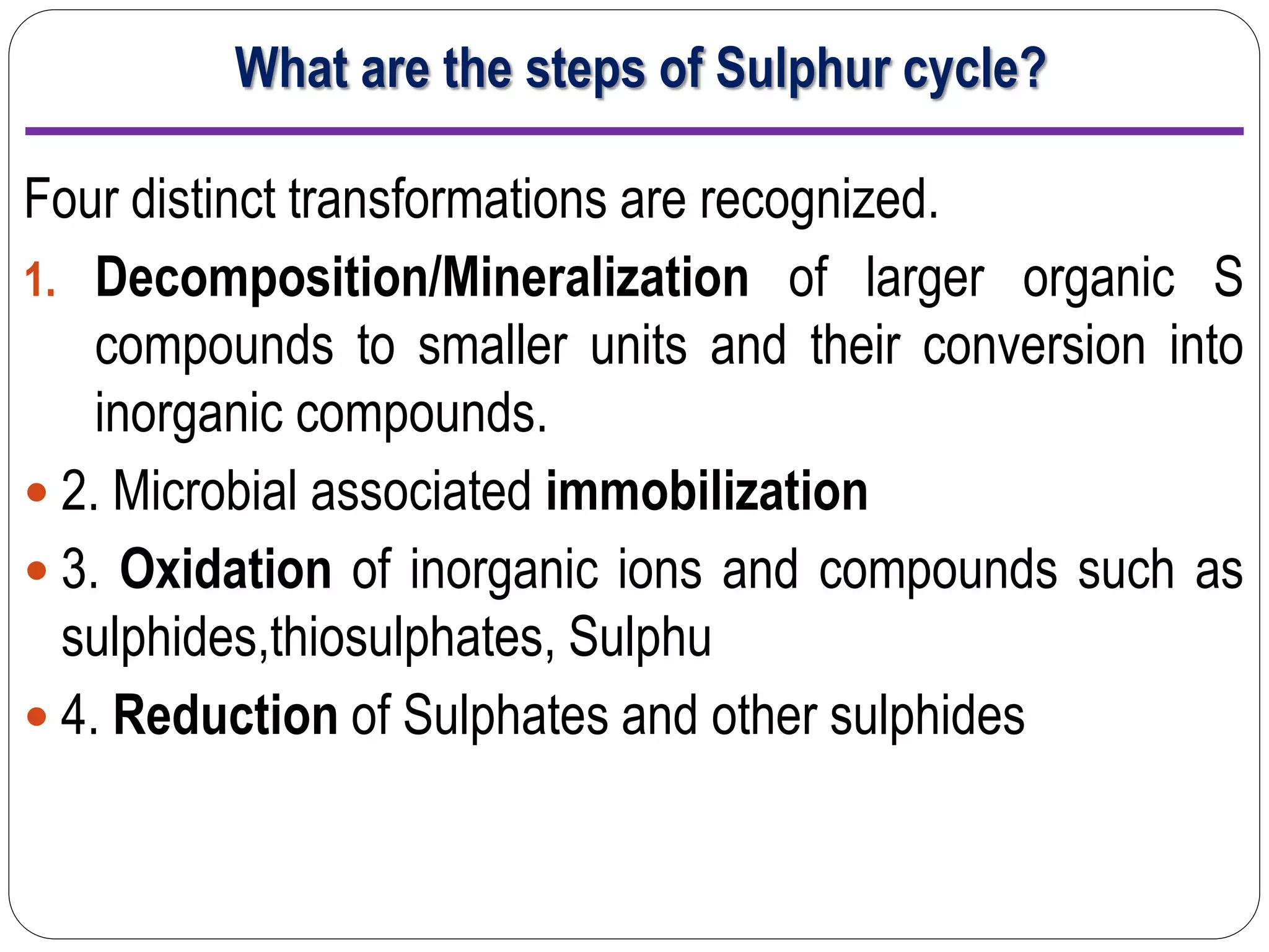 -Sulphur cycle.ppt