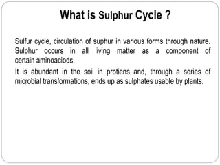 -Sulphur cycle.ppt