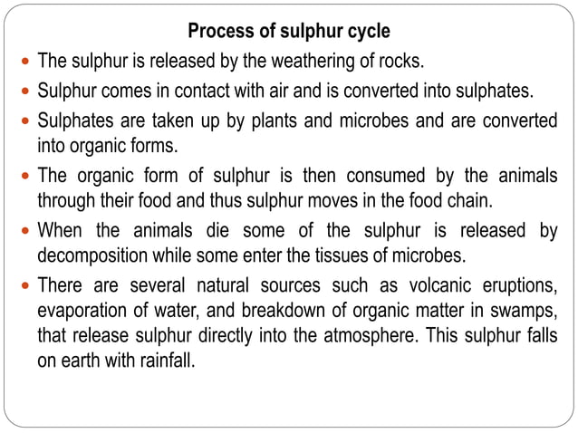 -Sulphur cycle.ppt