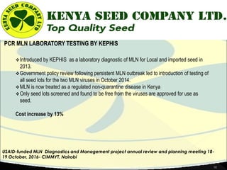 Internal control of MLN-free seed production: Experience of Kenya Seed ...