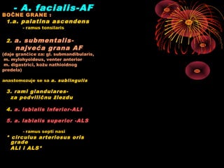 Krvni sudovi glave i vrata | PPT