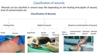 Kshama Dey OIST | PPT