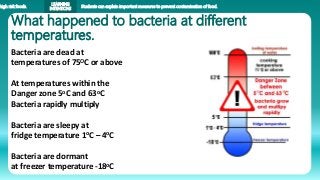 Keeping Save and Hygienic Revisitied - 2 Food Contaminants & Prevention ...
