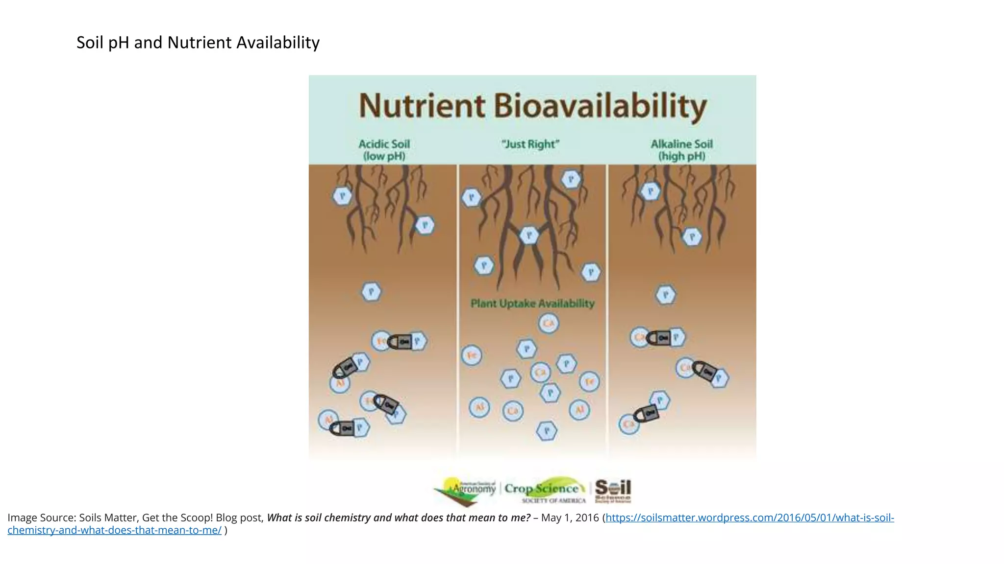 KSKL_Chapter 4_ Chem Properties of Soils.pptx