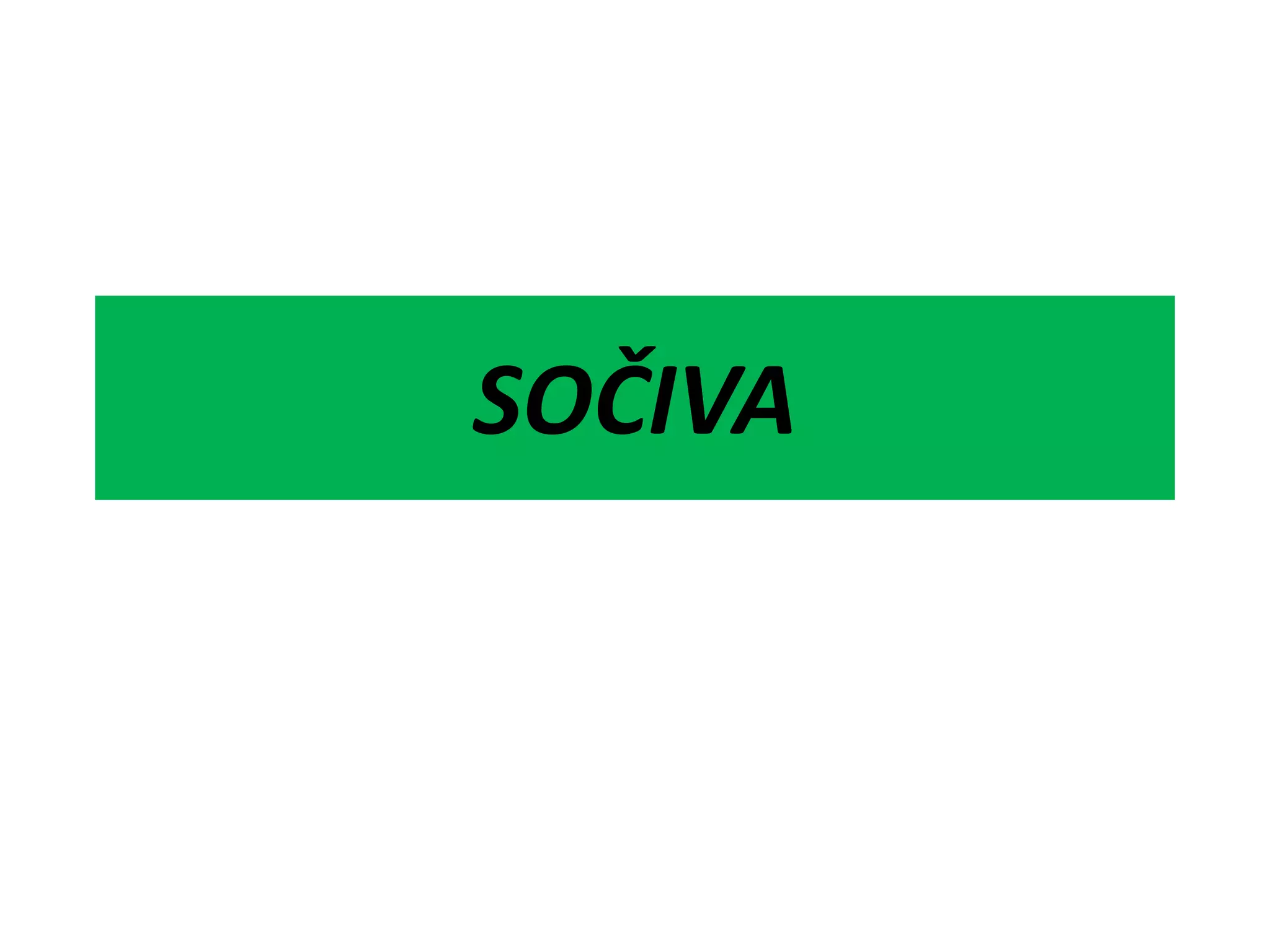 Sočiva prezentacija | PPTX