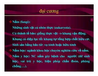 Kst daicuongnam | PPT