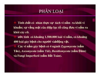 Kst daicuongnam | PPT