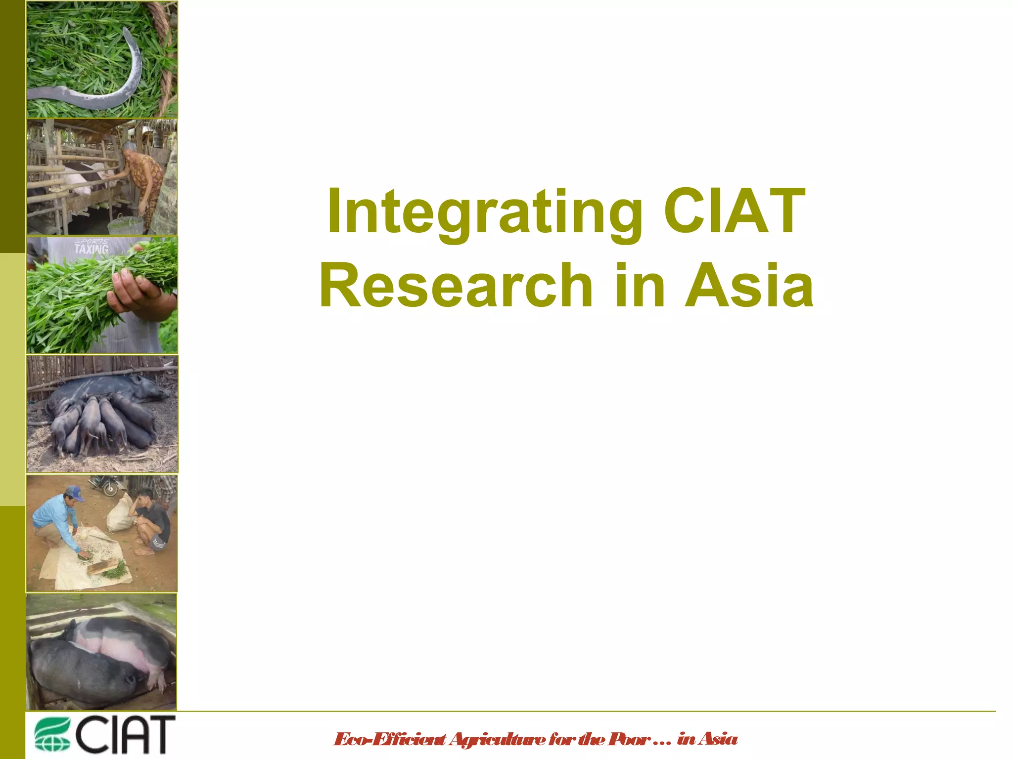 Integrating CIAT Research in Asia | PPT