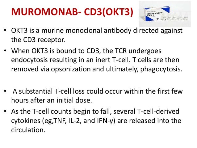 KIDNEY TRANSPLANTATION SEMINAR PRESENTATION