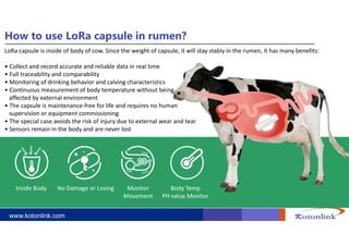 KT-PL24 LoRa Capsule of Rumen Intro_V0.1.pdf