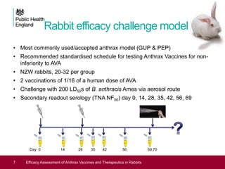 Kelly Thomas presentation on "KT efficacy of anthrax vaccines in ...