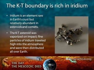 Finding the KT Asteroid Crater | PPTX