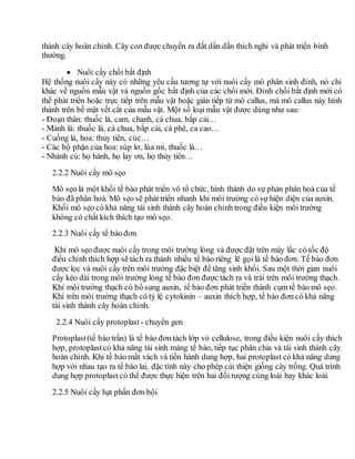 Kỹ thuật nuôi cấy in vitro và thực hành trên cây hoa cúc | PDF