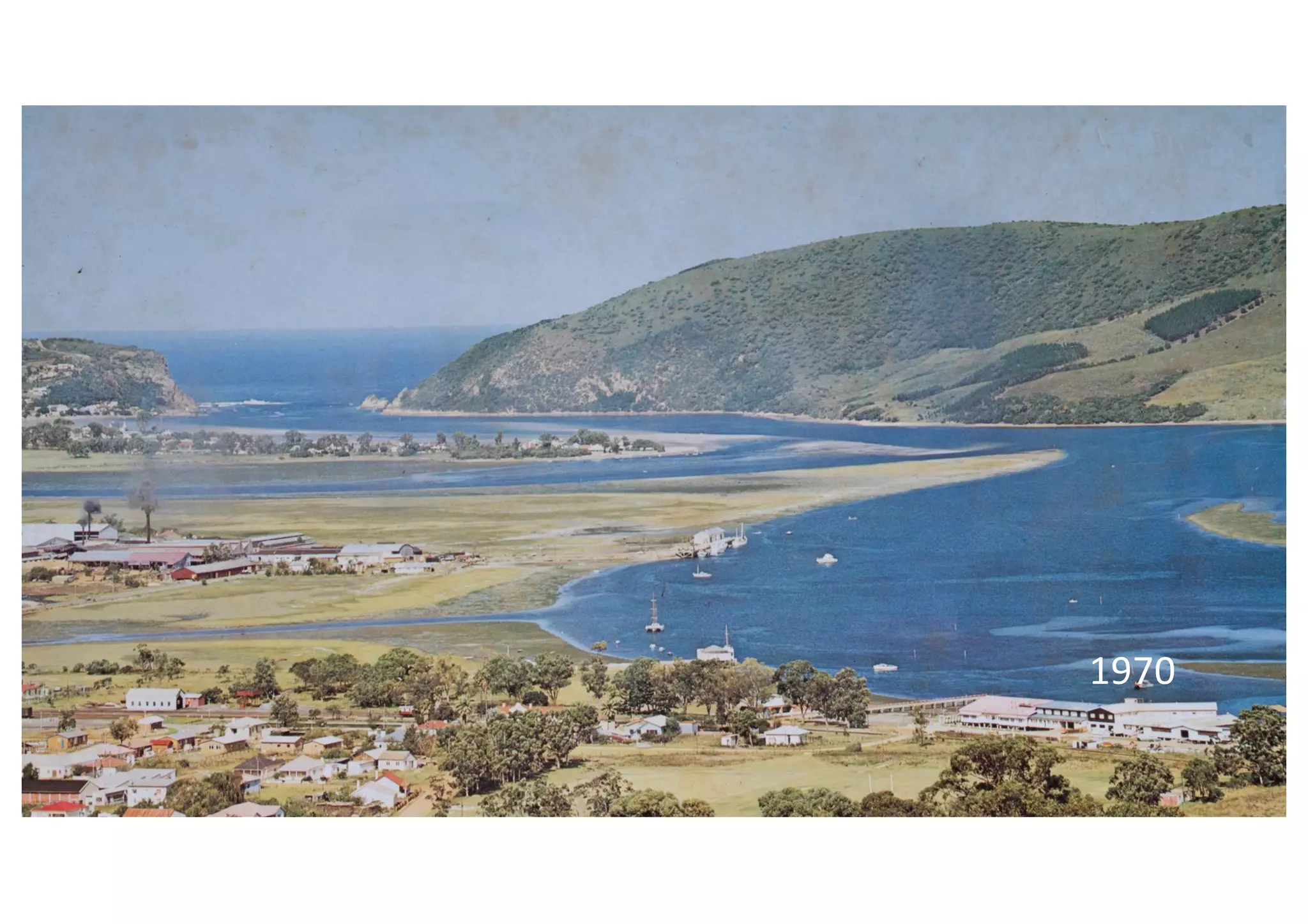 Managing rehabilitation on the Western Head, Knysna | PDF