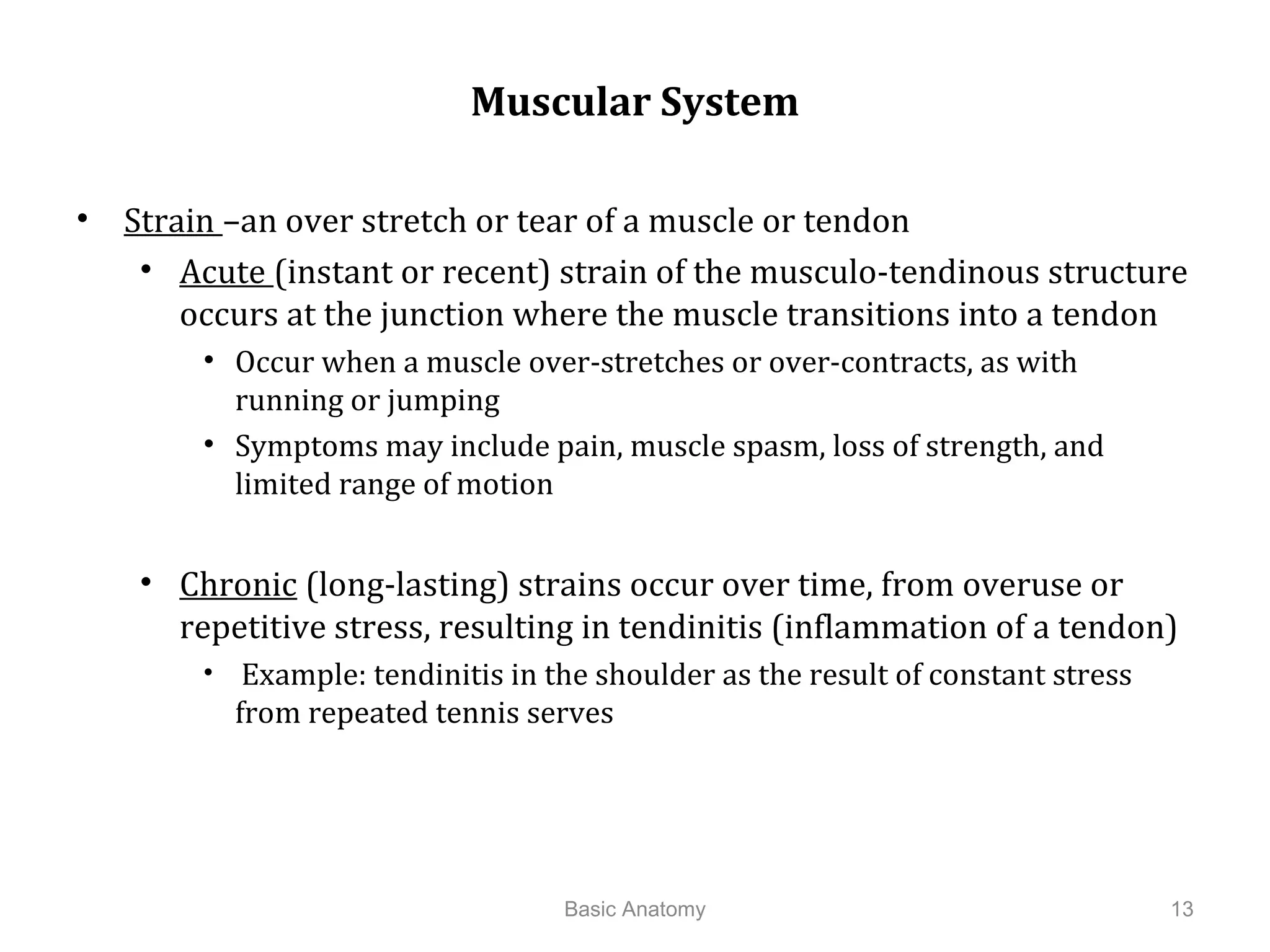 BASIC ANATOMY | PDF