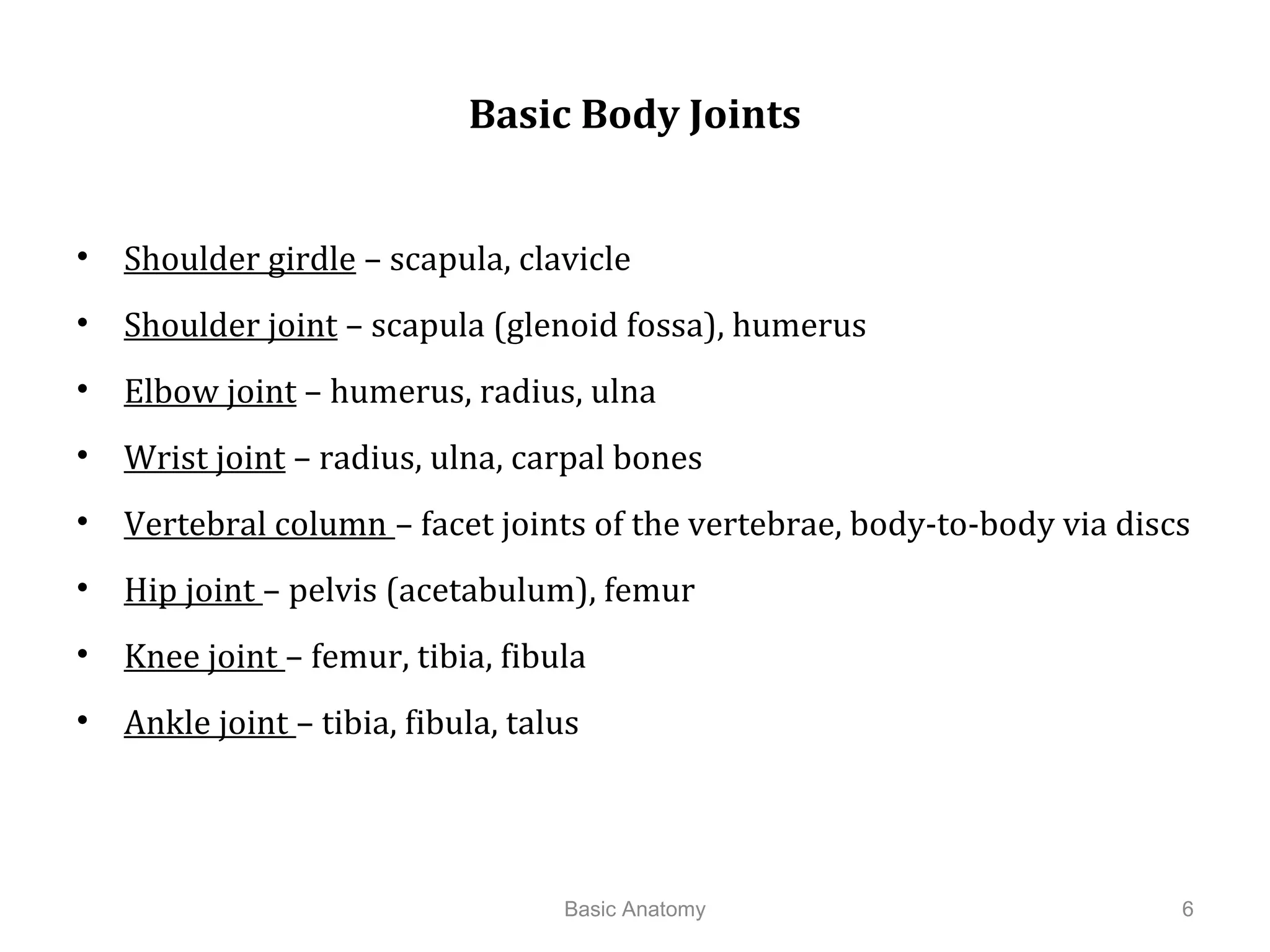 BASIC ANATOMY | PDF